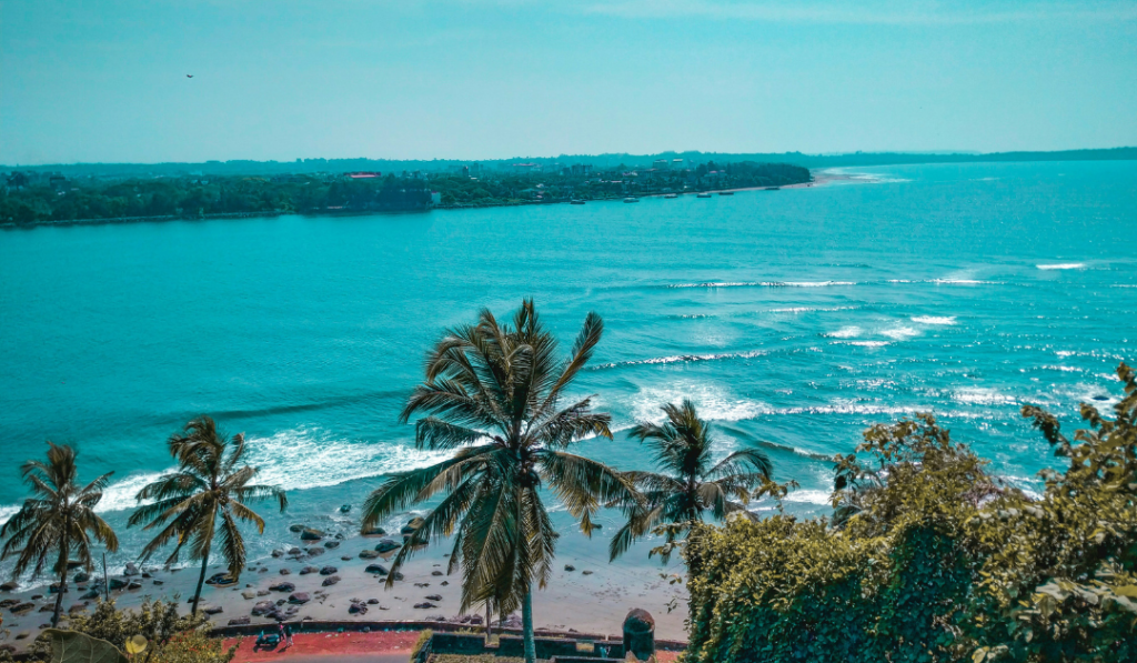 Experience Goa in Winter: A Seasonal Guide